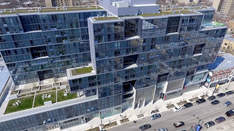 About Our Company | Blue Vista